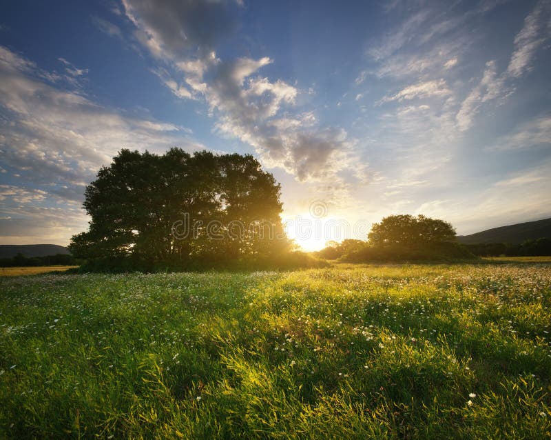 Spring landscape sunshine. stock photo. Image of nature - 85590150