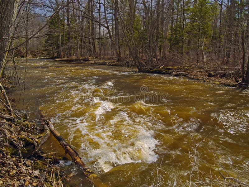 Spring Landscape - a Taiga Stream Stock Photo - Image of water, wave ...
