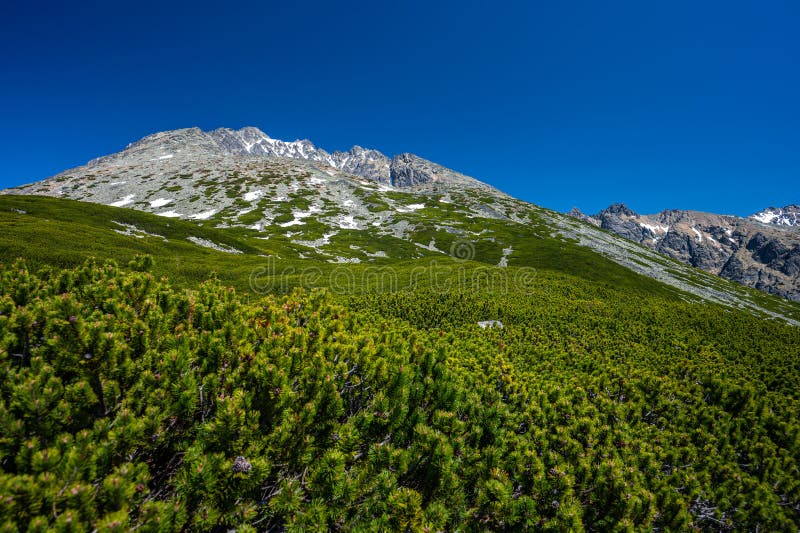 Spring Landscape of the Bieszczady Mountains. a View of the Mount Kopa ...