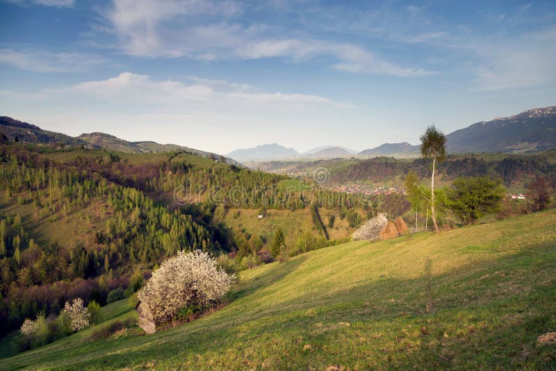 Spring Landscape in Transylvania Stock Photo - Image of nature ...