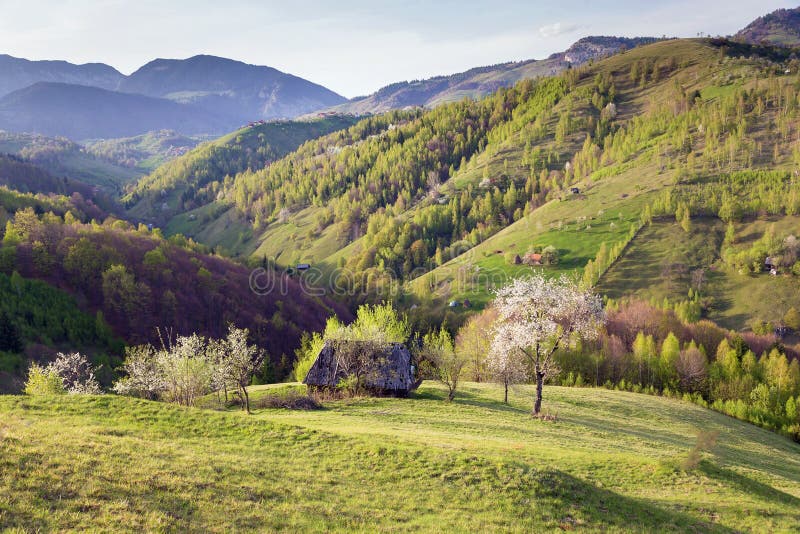 Spring Landscape in Transylvania Stock Photo - Image of spring, forest ...