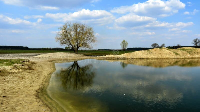 Spring Landscape with a Tree Reflected in the Water Stock Image - Image ...