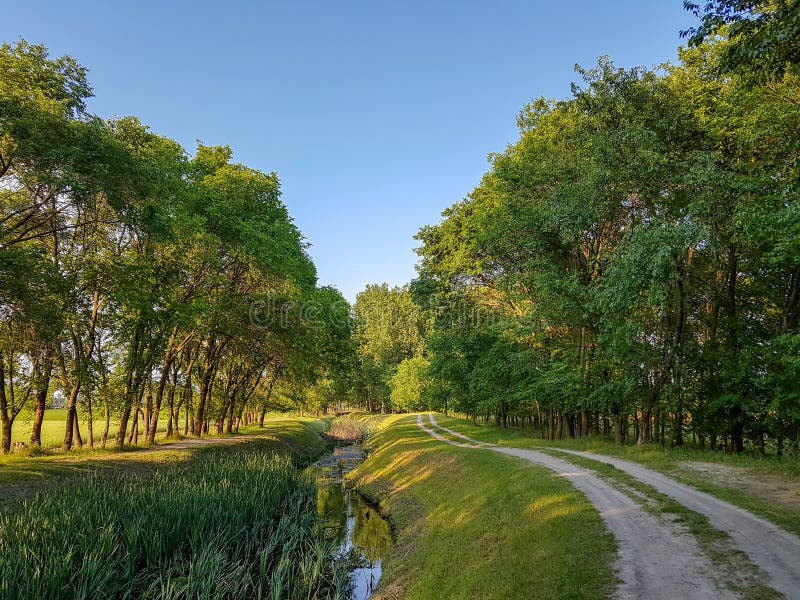 Spring Landscape Trees Cloudy Sky Path Grass Green and Blue Color Stock ...