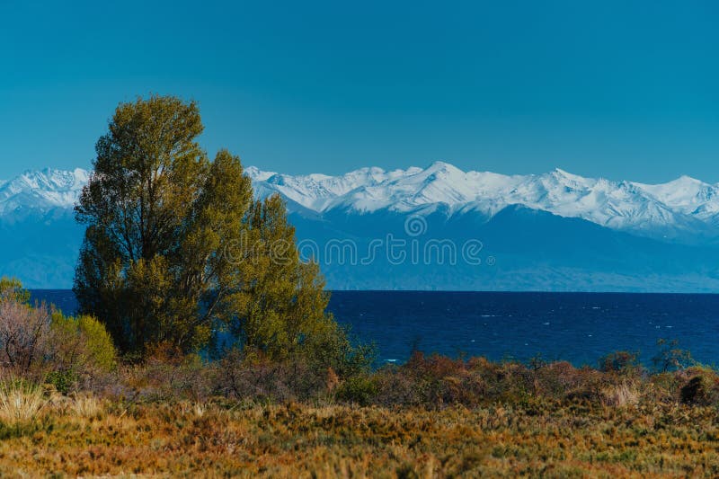 Spring Landscape with Trees and Lake, Kyrgyzstan, Issyk-Kul Stock Photo ...