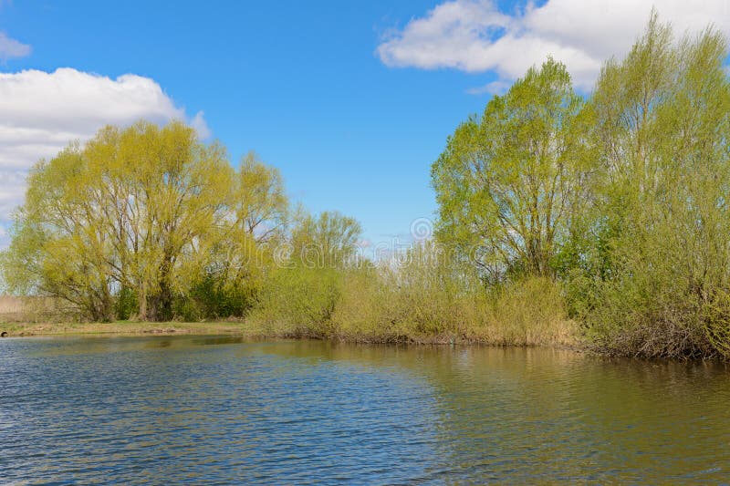 Spring Landscape With Trees On The Lake Stock Photo - Image of panorama ...