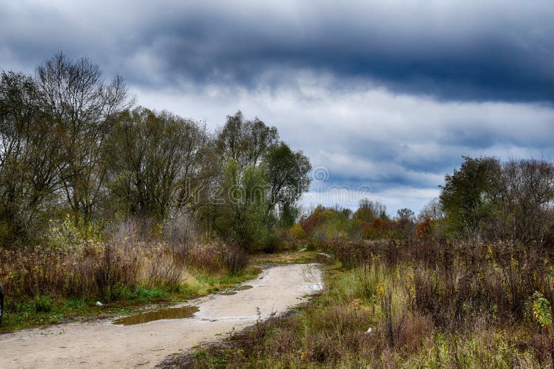 Spring Landscape with Trees and a Wide Meadow Path Stock Photo - Image ...