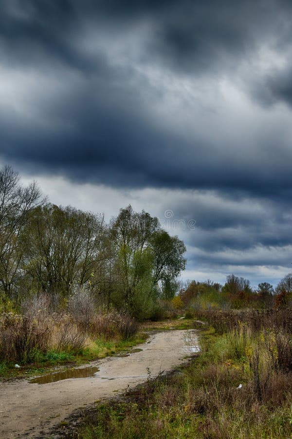 Spring Landscape with Trees and a Wide Meadow Path Stock Image - Image ...