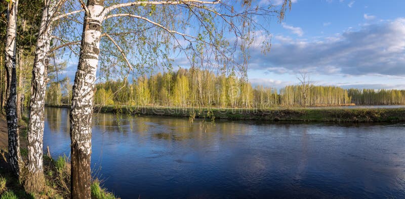 Spring Landscape at the Ural River with Birch, Russia Stock Image ...