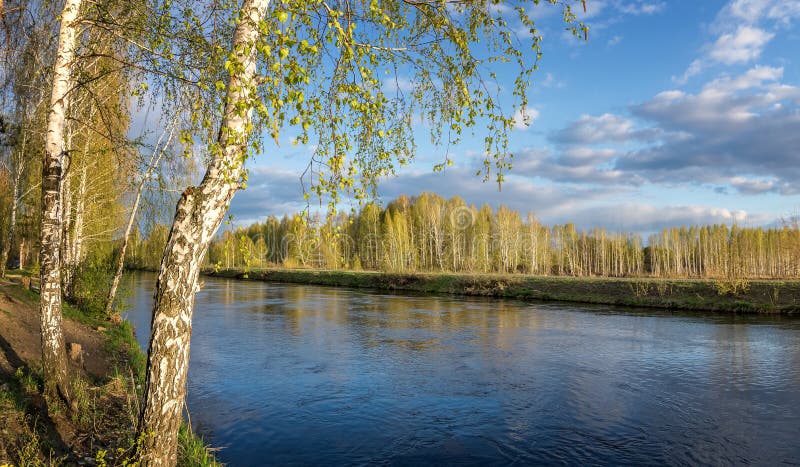 Spring Landscape at the Ural River with Birch, Russia Stock Photo ...