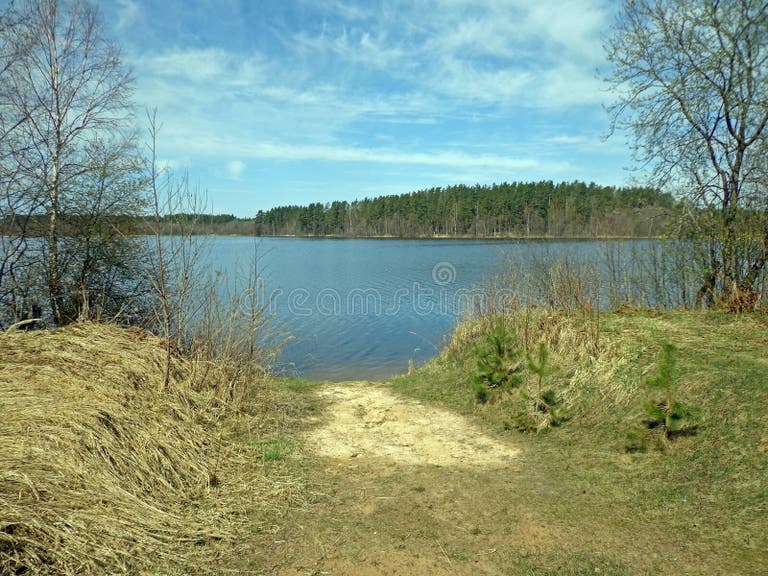 Spring landscape stock photo. Image of lake, forest, grass - 39730528