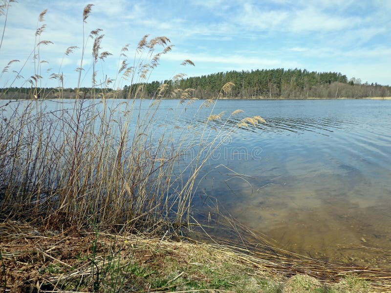 Spring landscape stock image. Image of spring, water - 51600151
