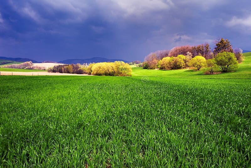 Spring landscape stock image. Image of environment, grass - 40134423