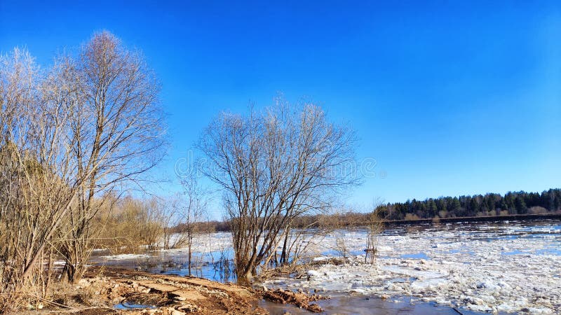 Spring Landscape with Water and Ice on River and Blue Sky in the ...