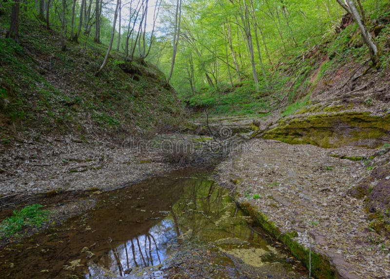 Spring Landscape with Water Stock Photo - Image of plants, canyon: 69502076