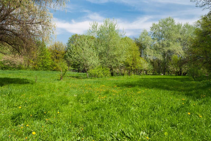 Spring landscape stock image. Image of field, picturesque - 40165543