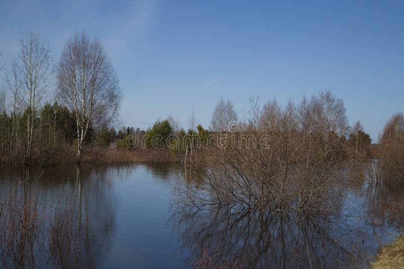 Spring Landscape on the Water Meadows on the Lake Stock Photo - Image ...