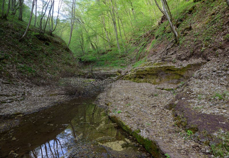 Spring Landscape with Water Stock Image - Image of spring, beautiful ...
