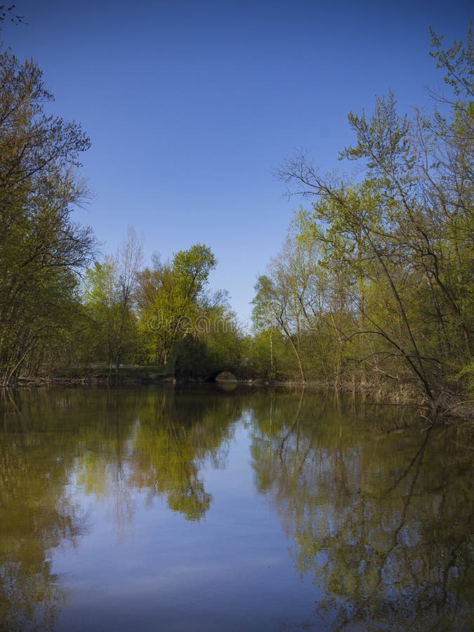 Spring Landscape with Water Stock Photo - Image of swamp, autumn: 76255770