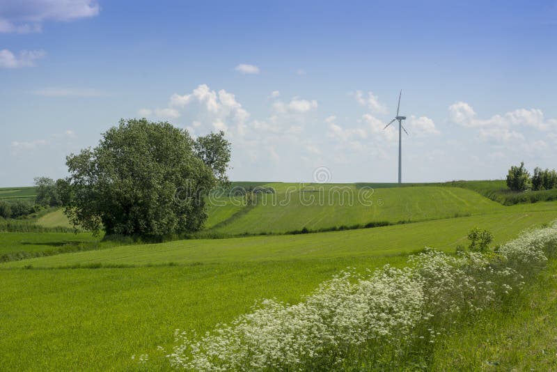 Spring Landscape with Wind Turbine Stock Image - Image of agriculture ...