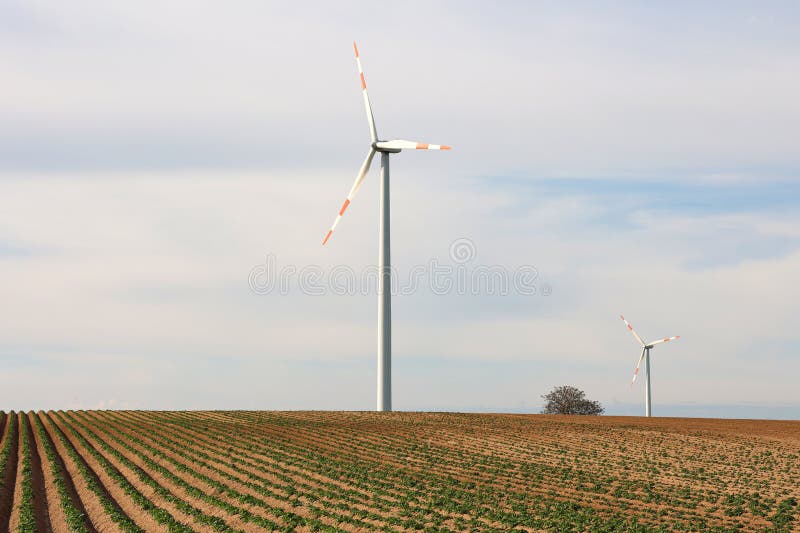 Spring Landscape with Windmills on the Horizon Stock Image - Image of ...