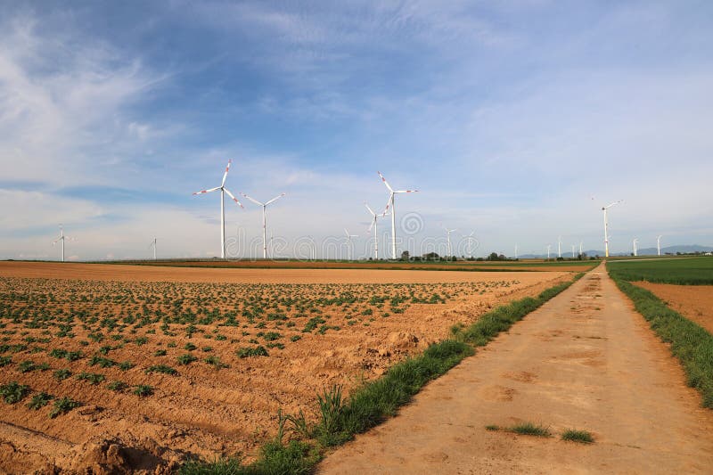 Spring Landscape with Windmills on the Horizon Stock Image - Image of ...
