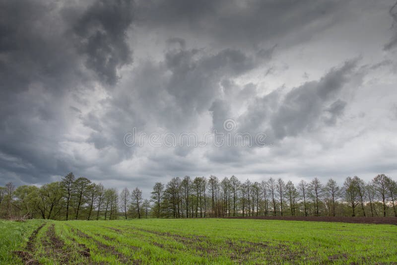 Spring landscape stock photo. Image of scenery, dramatic - 40197862