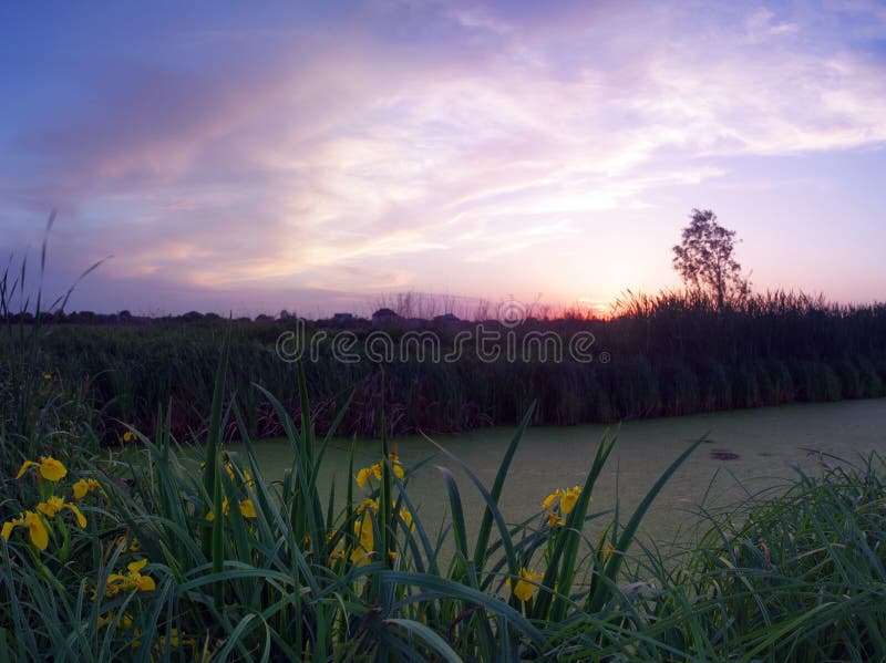 Spring landscape stock photo. Image of bright, light - 41340602