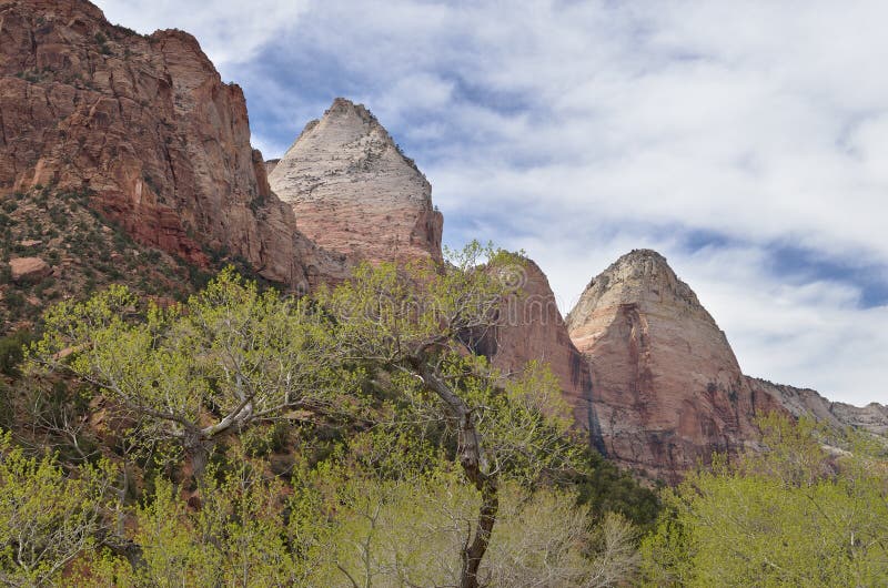Spring Landscape Zion National Park Stock Image - Image of mountains ...