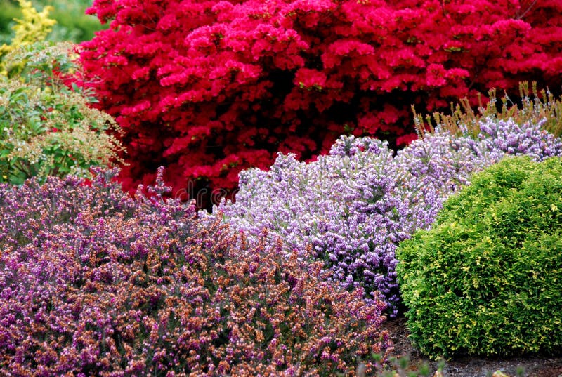 Spring Garden stock image. Image of gardening, foliage - 5131203