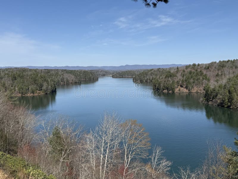Spring Landscapes in Virginia Stock Image - Image of blossom, leaf ...