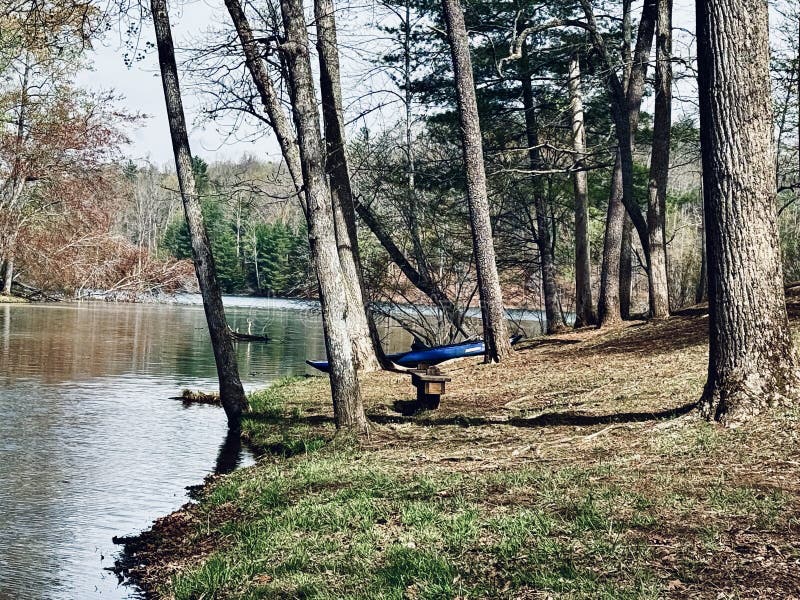 Spring Landscapes in Virginia Stock Photo - Image of flower, winter ...