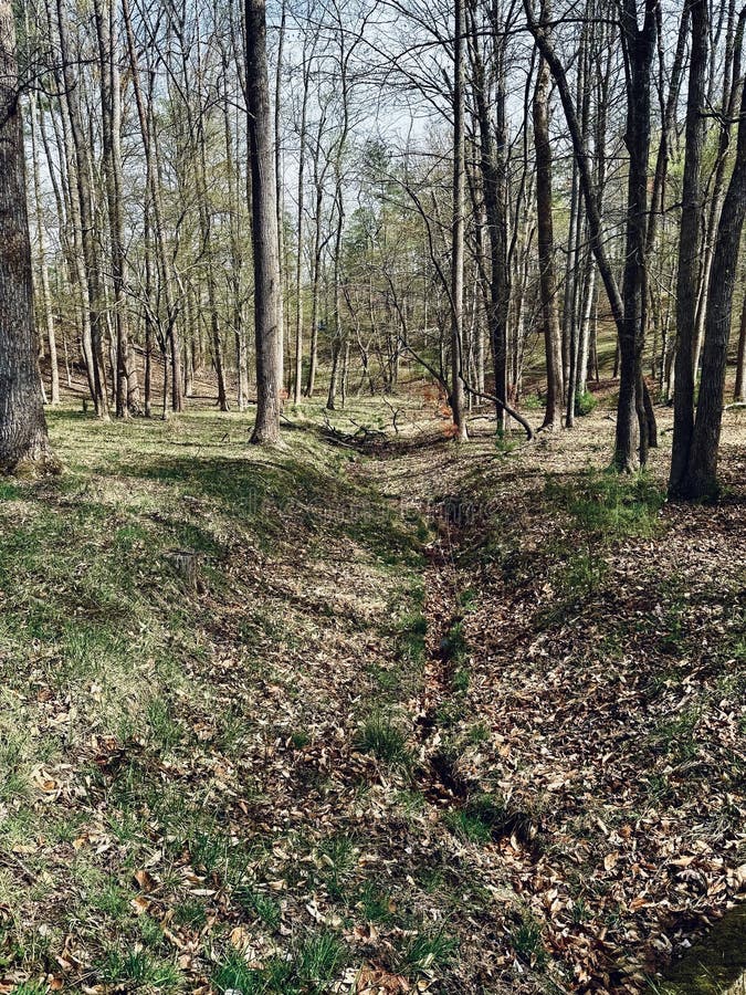 Spring Landscapes in Virginia Stock Photo - Image of pink, plant: 373516074