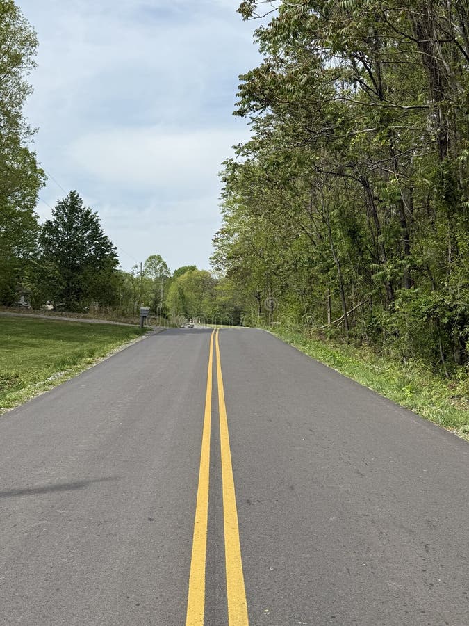 Spring Landscapes in Virginia Stock Image - Image of pink, plant: 376036293