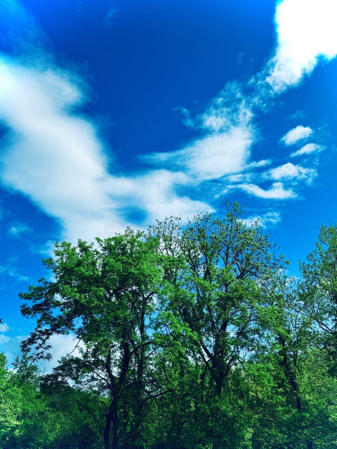 Spring Landscapes in Virginia Stock Image - Image of flower, shrub ...