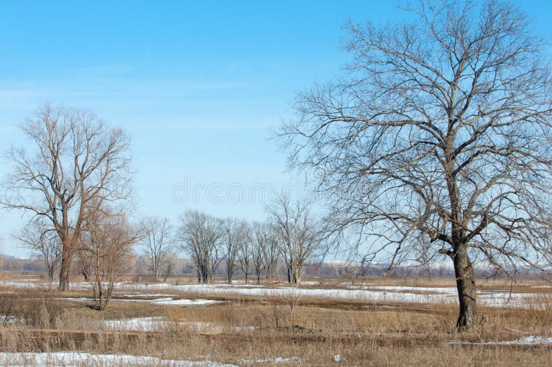 Spring last snow. stock photo. Image of scene, scenery - 122720248