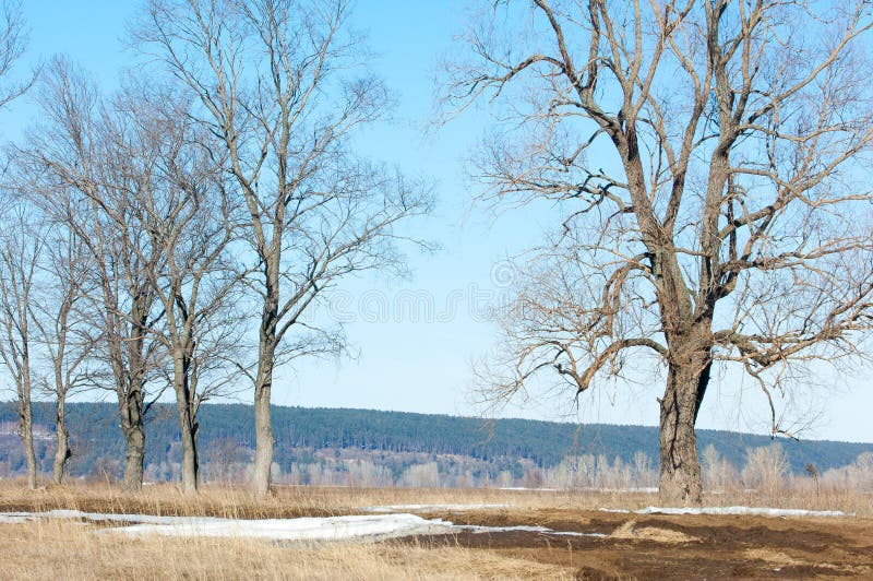 Spring last snow. stock image. Image of last, area, cool - 80181153