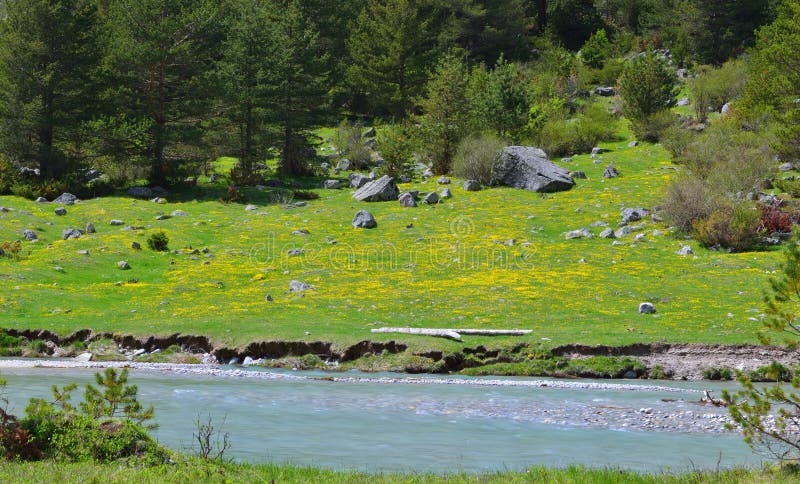 Lawn in mountains stock image. Image of ridge, environment - 32085479