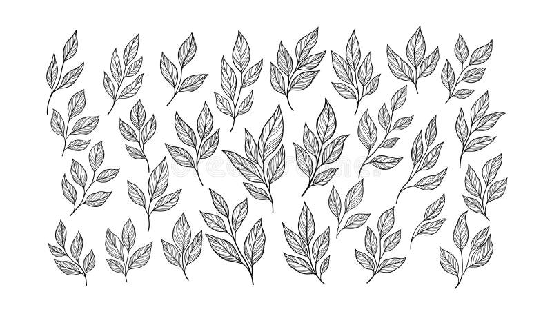 Spring Leaf Branch Linear Doodle Art Illustration Stock Vector ...