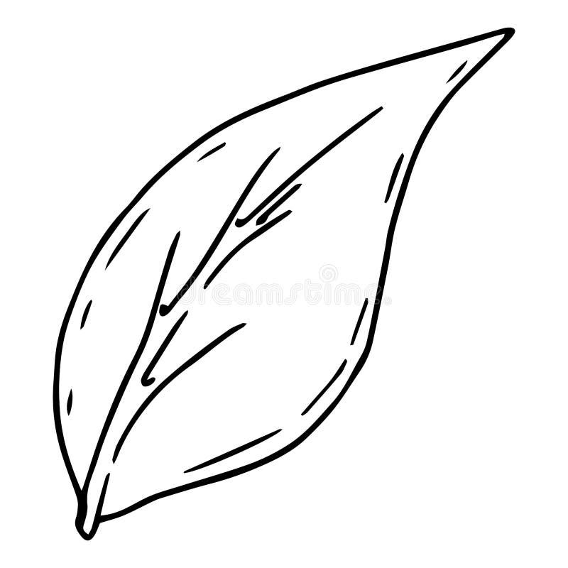 Spring Leaf Icon. Vector Illustration of a Young Leaflet Stock Vector ...