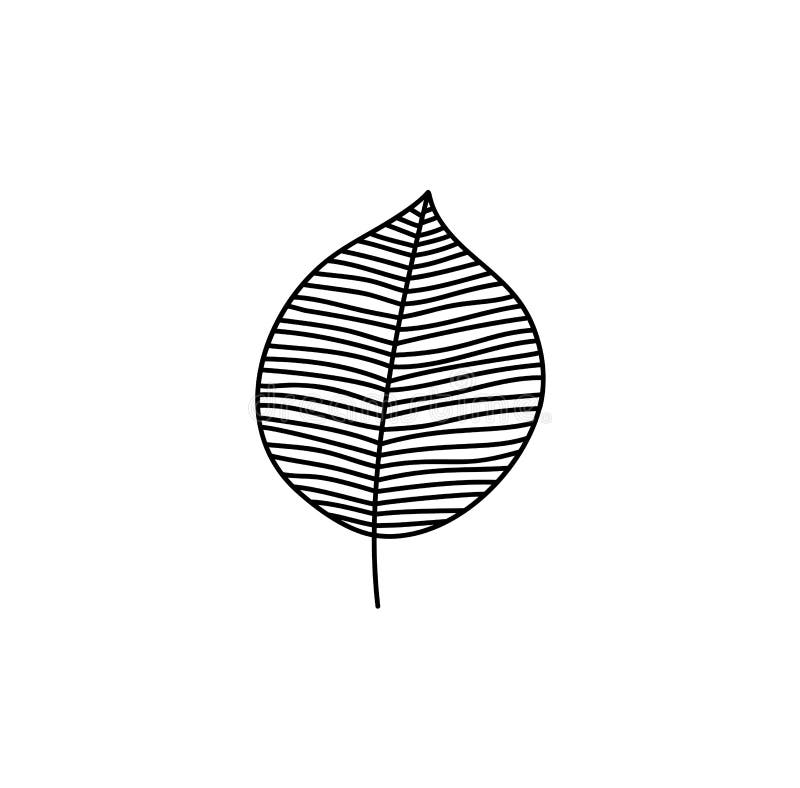 Spring Leaf Outline Vector Line Icon. Doodle Spring Concept Minimal ...