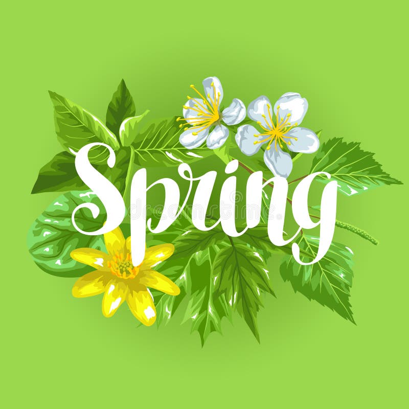 Spring Leaves and Flowers. Card with Plants Stock Vector - Illustration ...