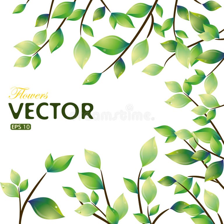 Spring Leaves Frame Stock Illustrations – 212,811 Spring Leaves Frame ...
