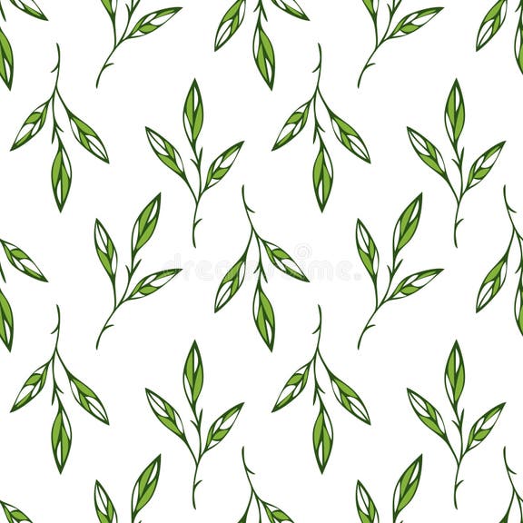 Spring Leaves Pattern. Green Contour Leaf Doodle Hand Drawn. on White Background. Stock ...