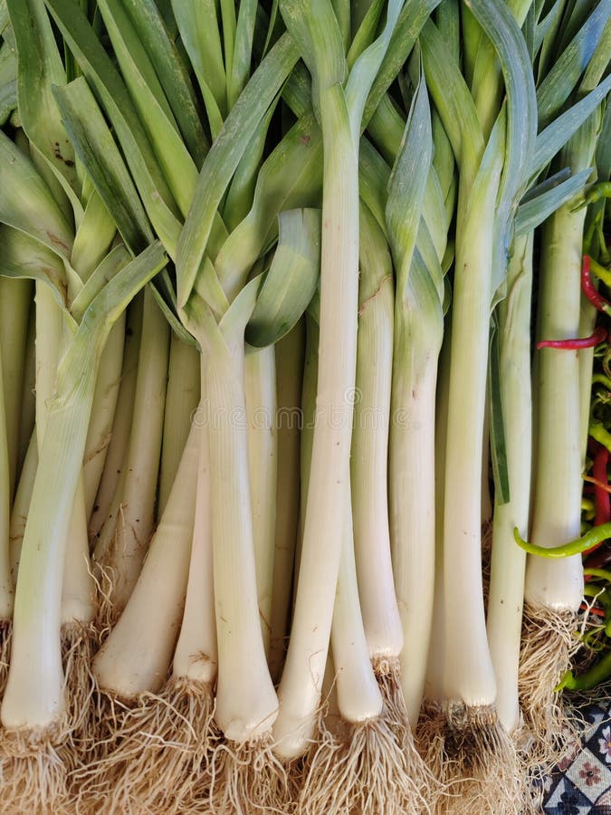 Spring Leeks with Roots on a Market Stall Stock Photo - Image of roots ...