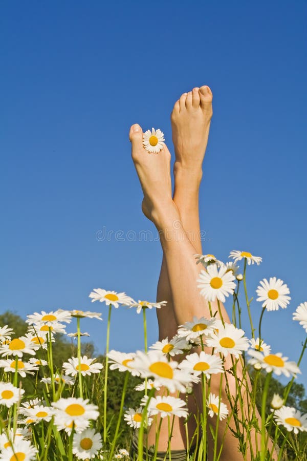 Spring legs stock image. Image of people, nature, flowers - 5660137