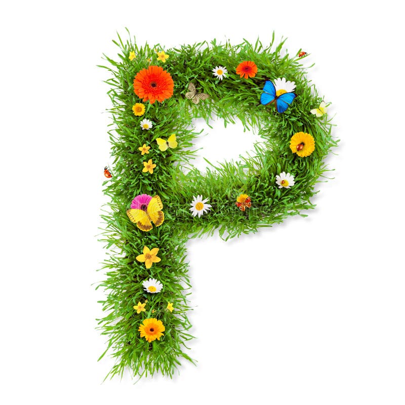 600+ Natural letter p Free Stock Photos - StockFreeImages