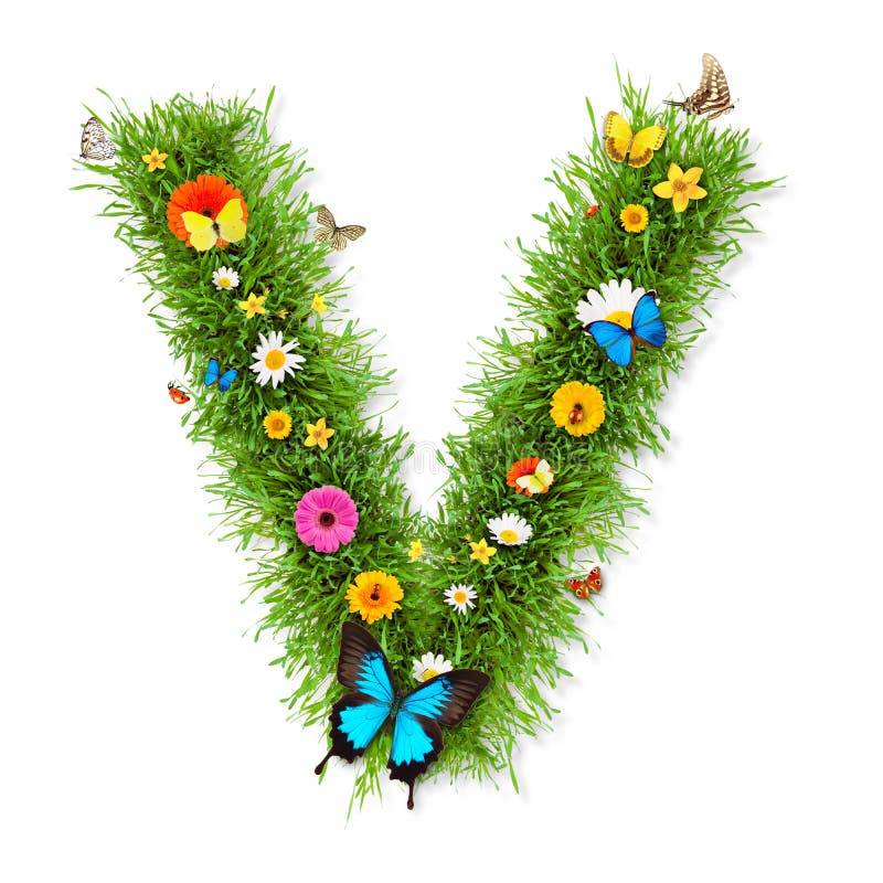 Spring letter R stock illustration. Illustration of foliage - 38221167
