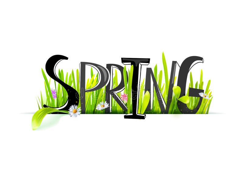 Realistic Grass and Bushes Set Stock Vector - Illustration of green ...