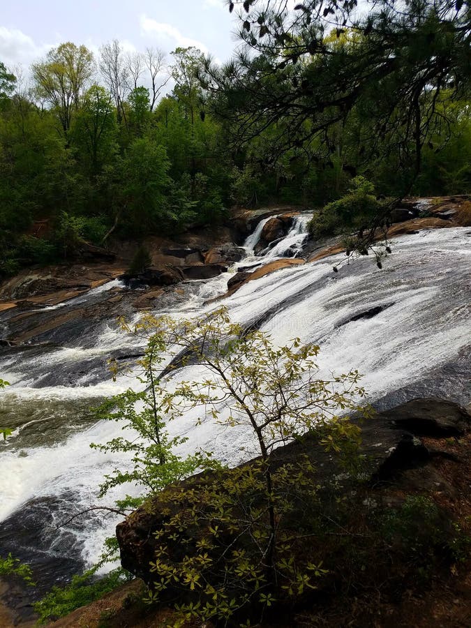 Spring Life stock photo. Image of spring, life, peaceful - 117025570