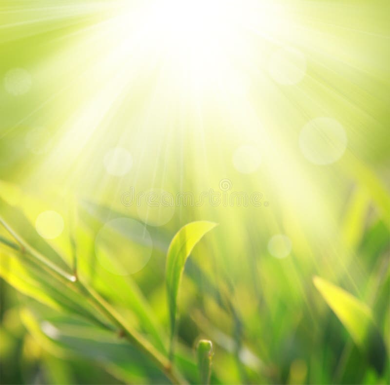 Spring light background stock image. Image of desktop - 20136485
